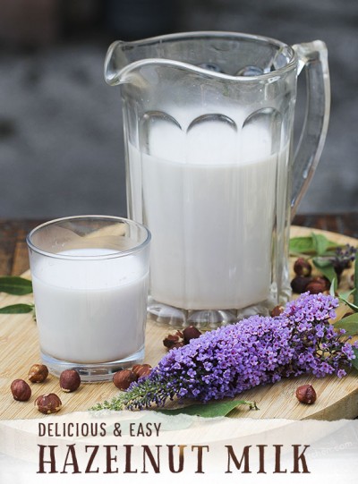 Easy Hazelnut Milk with a Nut Milk Bag - Kind Earth