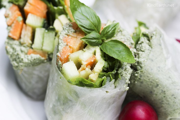 The best way to make Spring Rolls (rice paper wraps) - Kind Earth