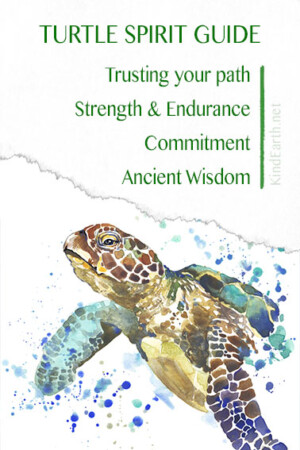 Turtle Spirit Animal Guide - courage, staying true to your path ...