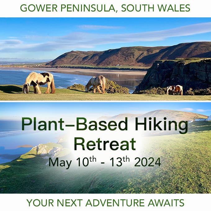 Plant-Based Hiking Retreat May 2024 Gower Peninsula, Wales - Kind Earth