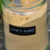 Lion's Mane Hot Drink Recipe - Kind Earth